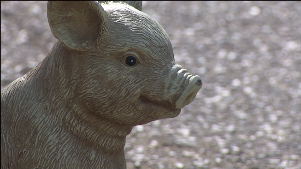 'Pothole pigs' help battle potholes in Tacoma | KOMO