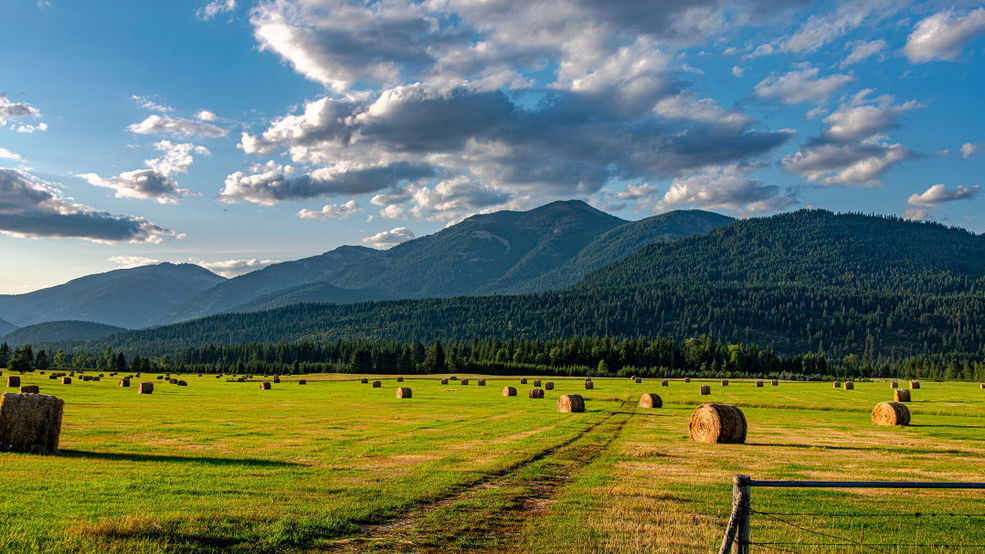 Hazy sunshine, isolated afternoon storm | KECI