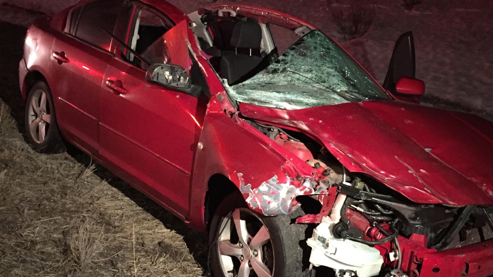 Car hits moose standing in fast lane on I-80 | KUTV