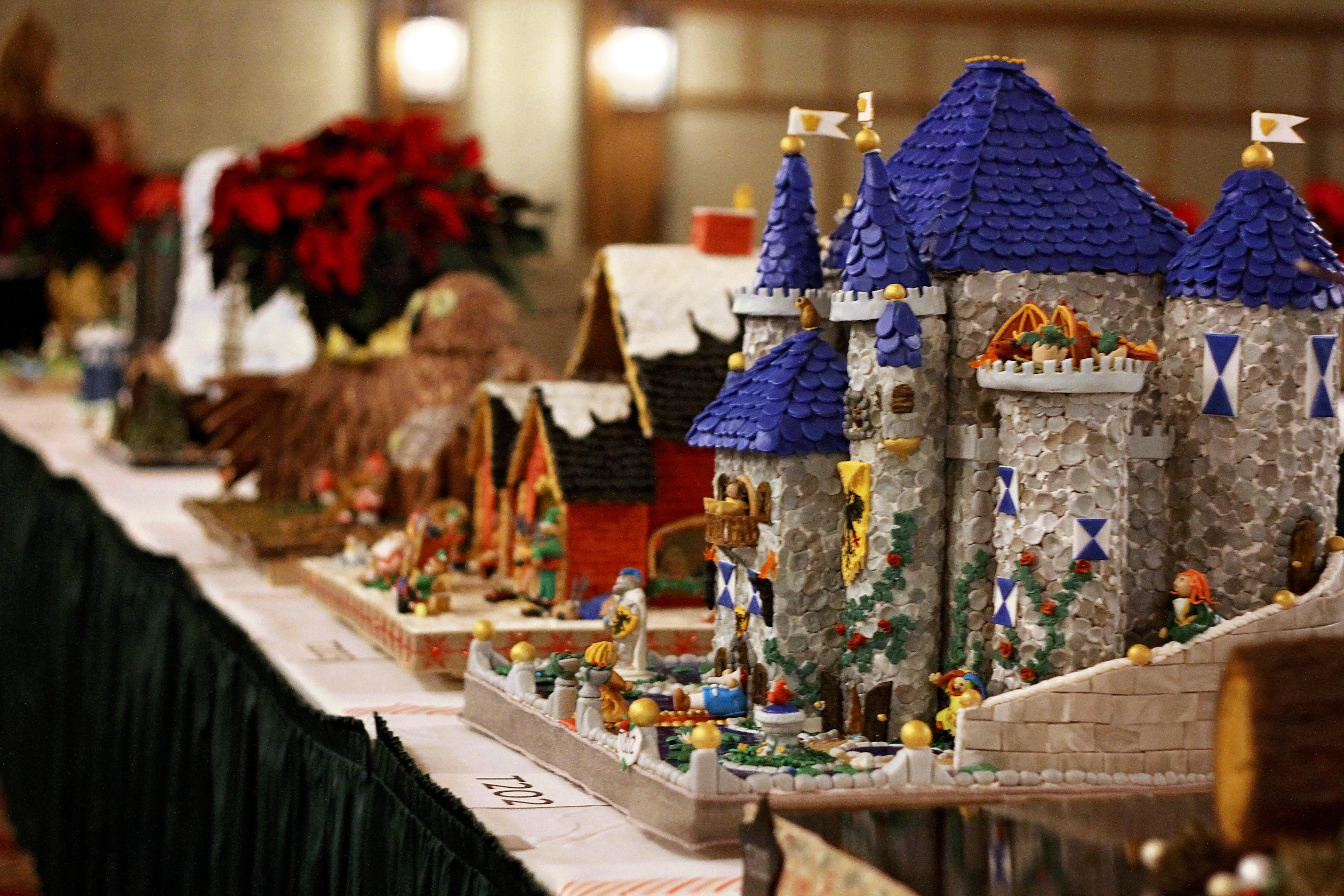GALLERY | 25th Annual National Gingerbread House Competition | WLOS