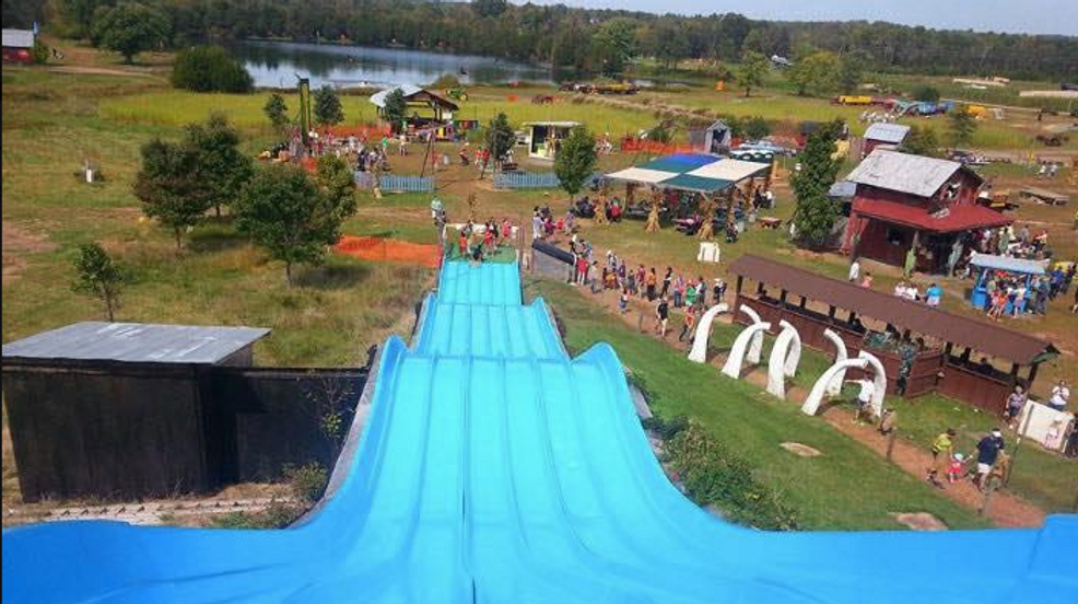 9 fun fall activities to do in the DMV including pumpkin patches and ...